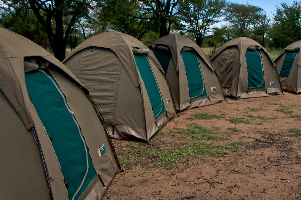 Camping Safari - Alpha Grand Travel & Holidays